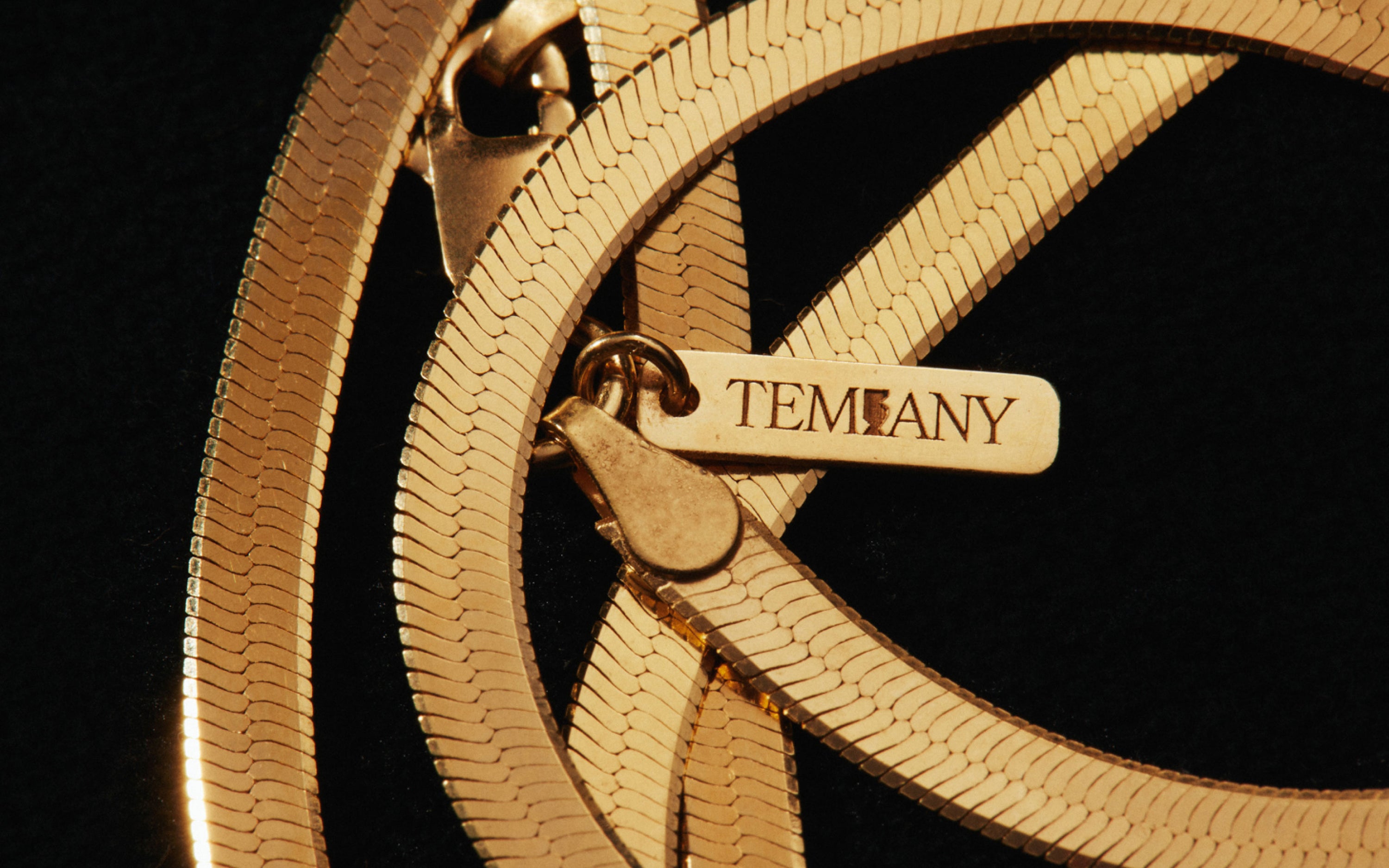 TEMPANY - Radical Elegance Through Luxury Jewellery